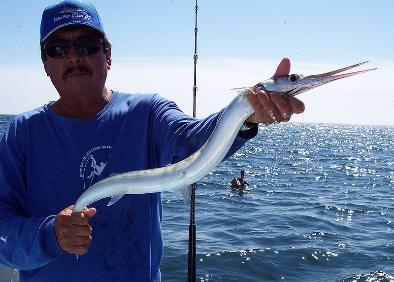 Los Cabos Fishing | Fishing Charter | Cabo Sailing
